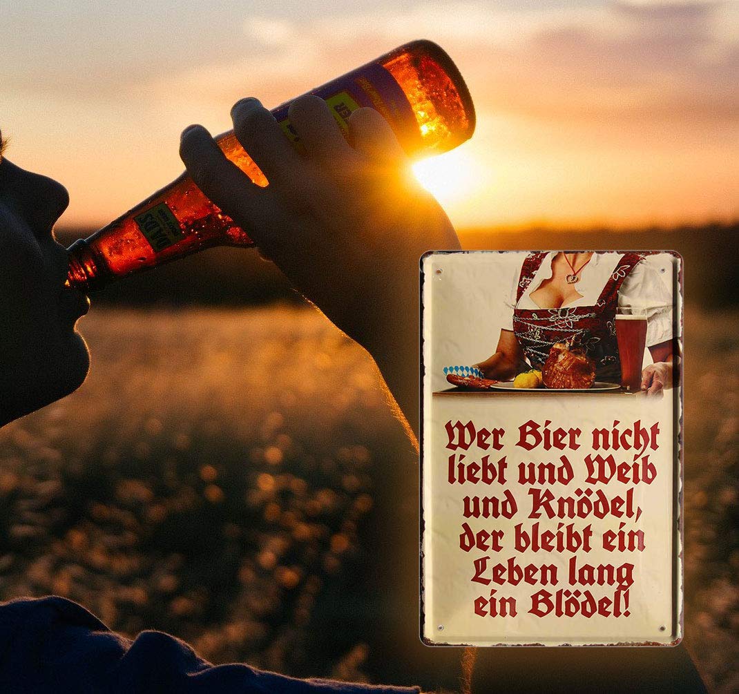 Blechschilder Bier lustiger Spruch “Wer Bier Nicht liebt” Geschenkidee ...
