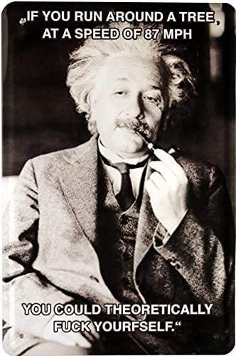 Blechschild Albert Einstein Spruch “If You Run Around a Tree” 20x30cm ...